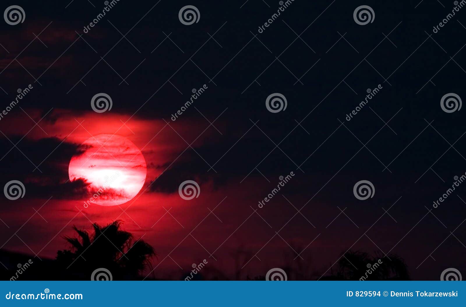 Red Sun at Night stock photo. Image of evening, unexpected - 829594