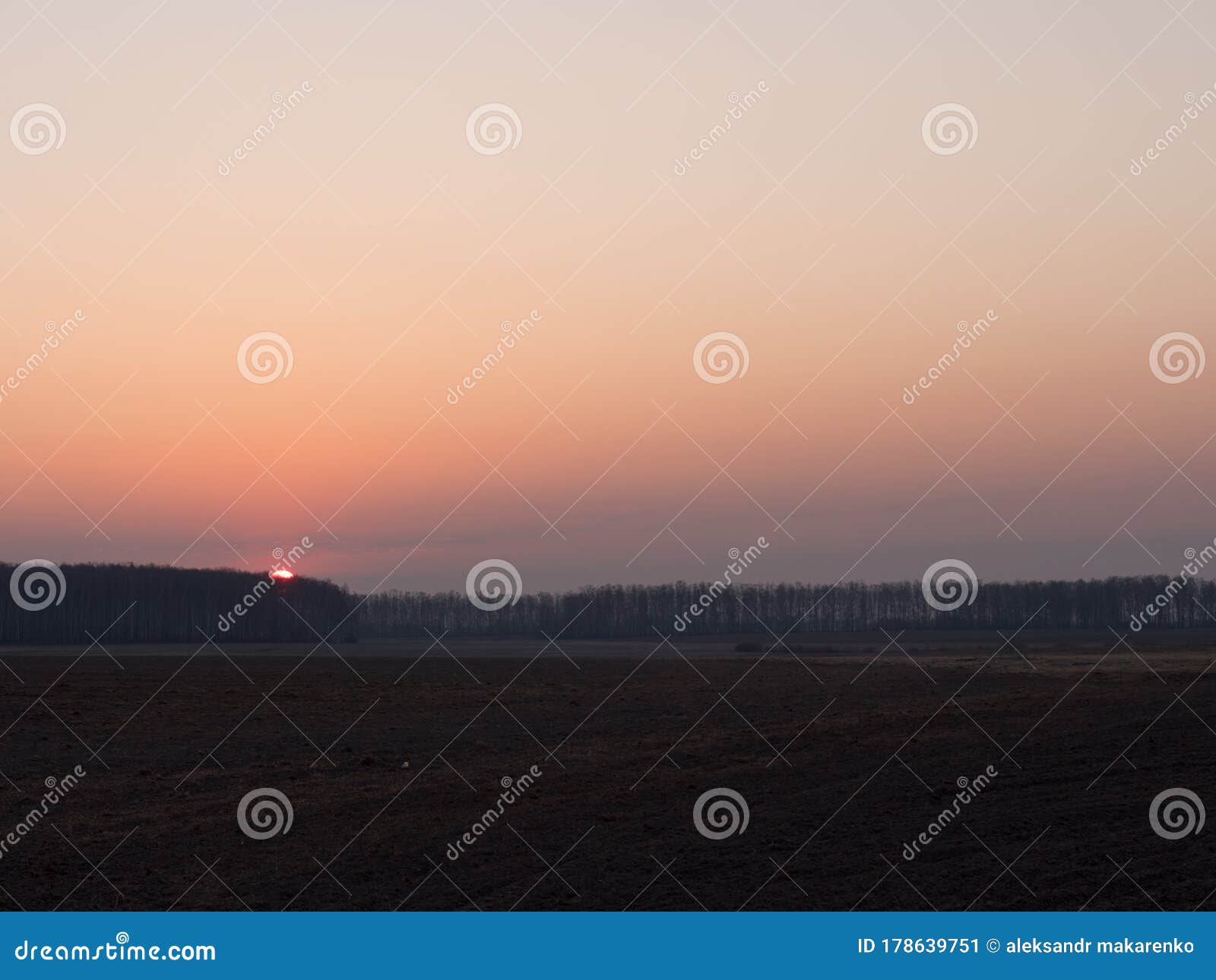 The Red Sun Rises from the Forest at Dawn Stock Image - Image of ...