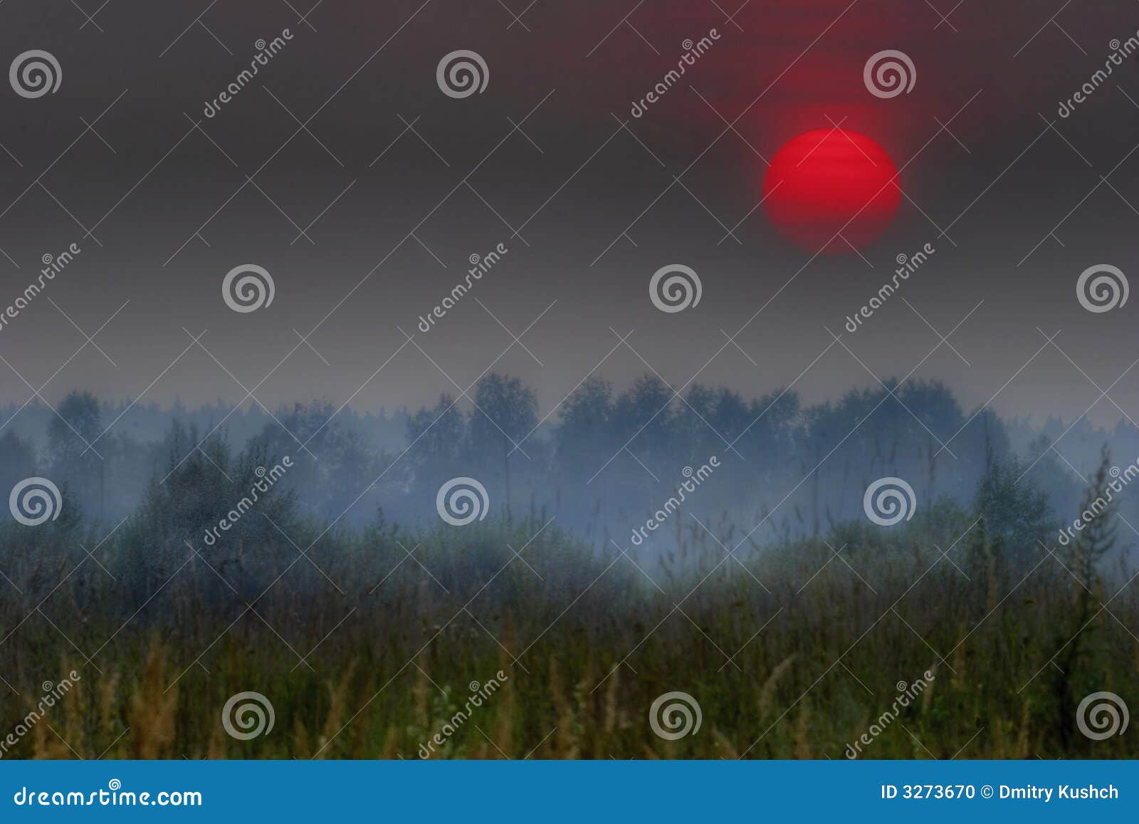 Red sun of Russia stock photo. Image of trees, forest - 3273670