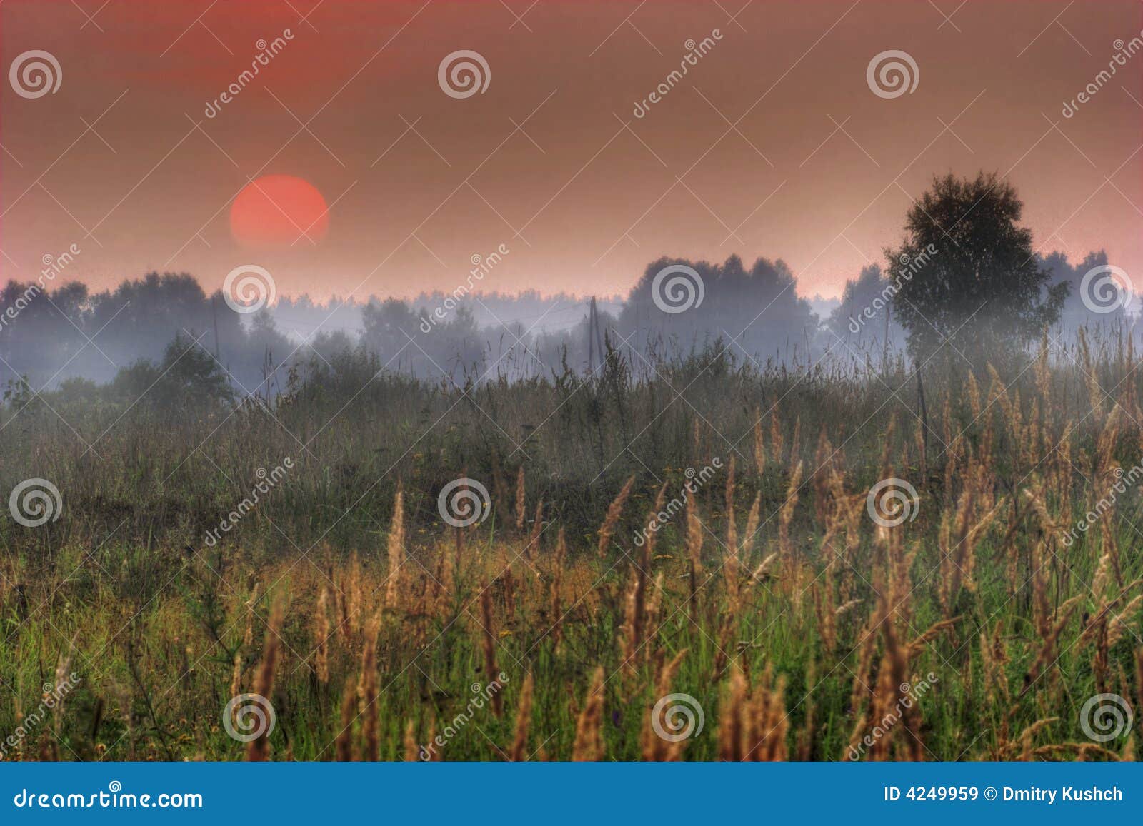 Red sun of Russia stock image. Image of trees, light, clouds - 4249959