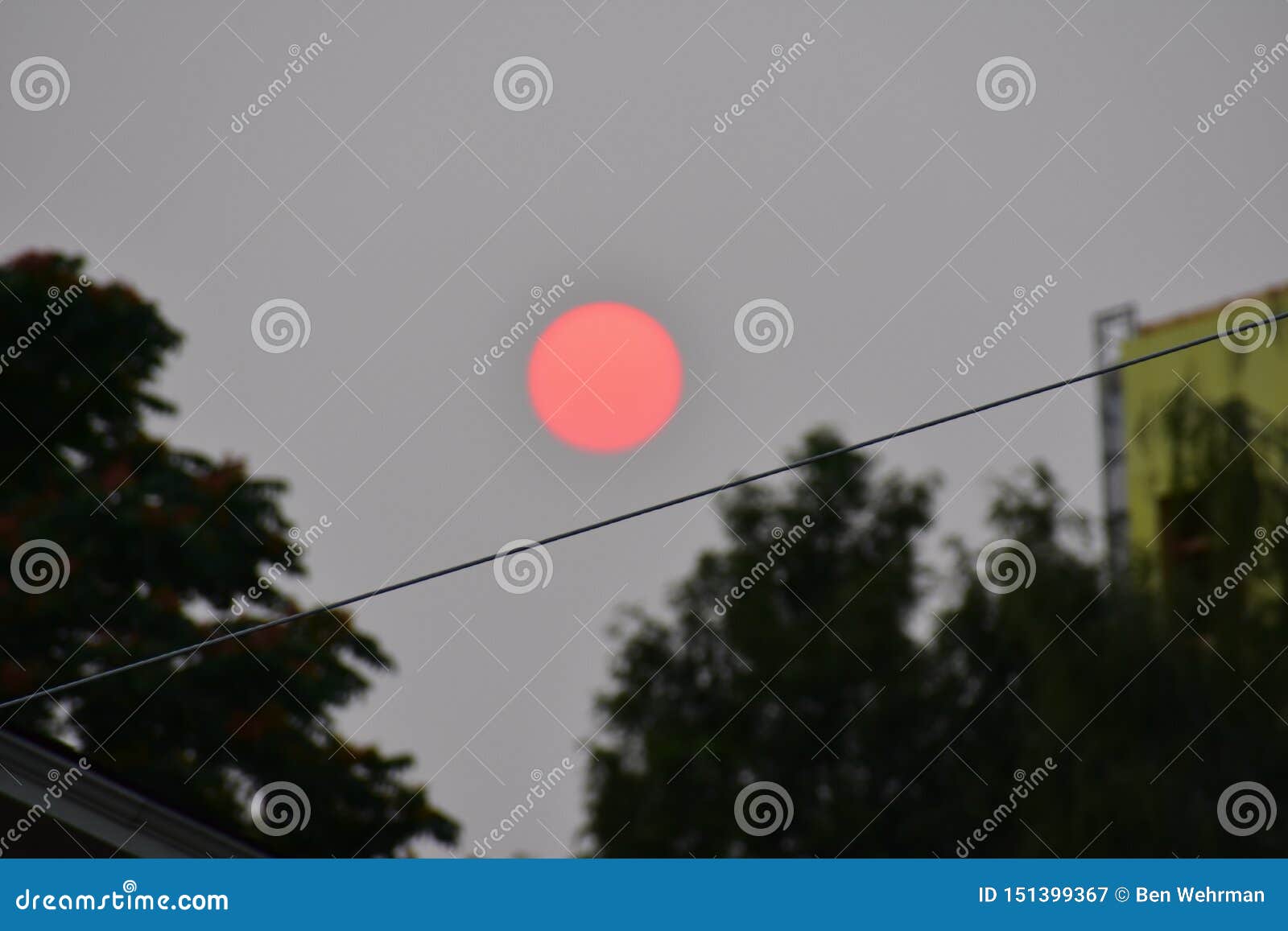 Red sun in the sky stock image. Image of trees, outdoor - 151399367