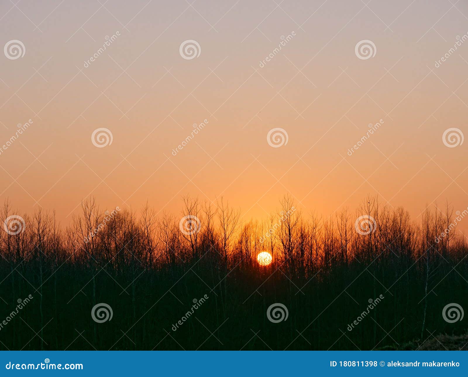 Red Sun at Sunset Over the Forest Stock Photo - Image of abstract ...