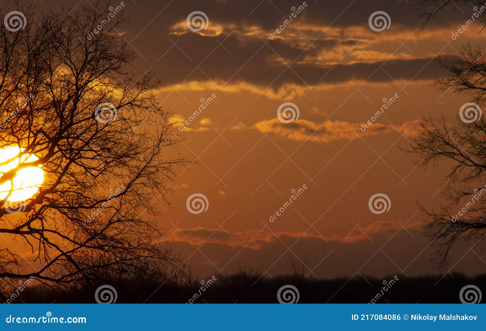 Red Sun at Sunset and Sky with Clouds Looking through the Branches of ...
