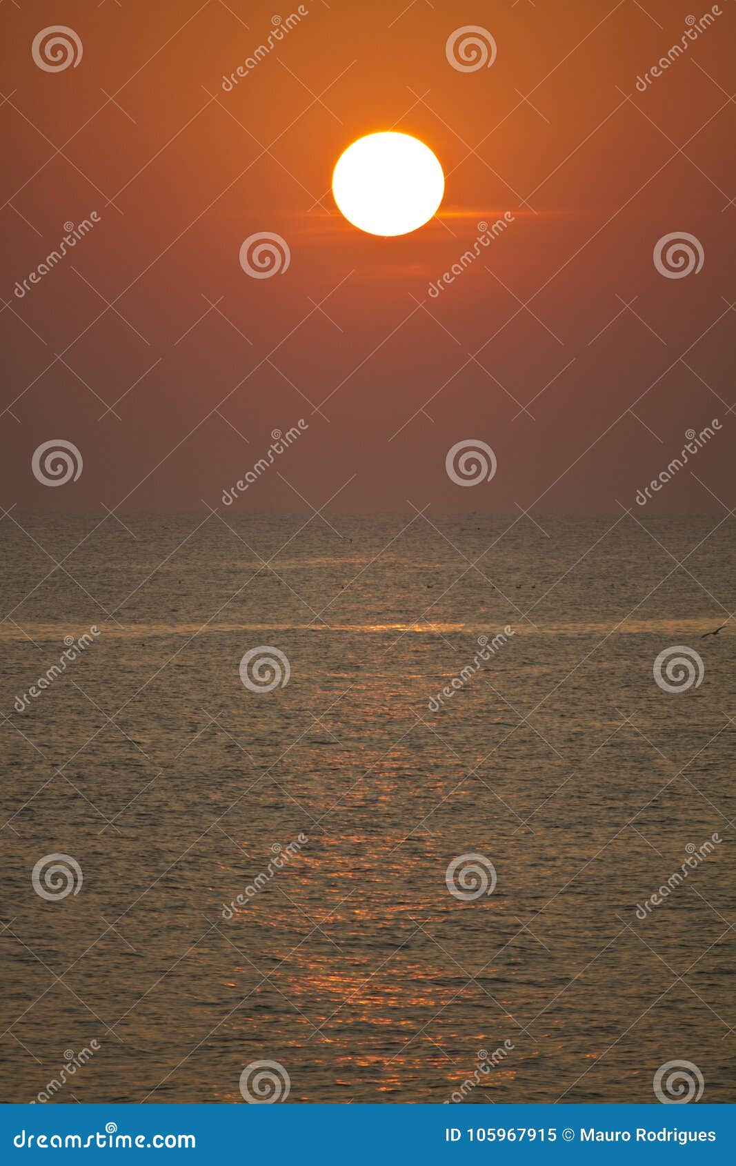 Red sun at sunset stock image. Image of dawn, sunny - 105967915