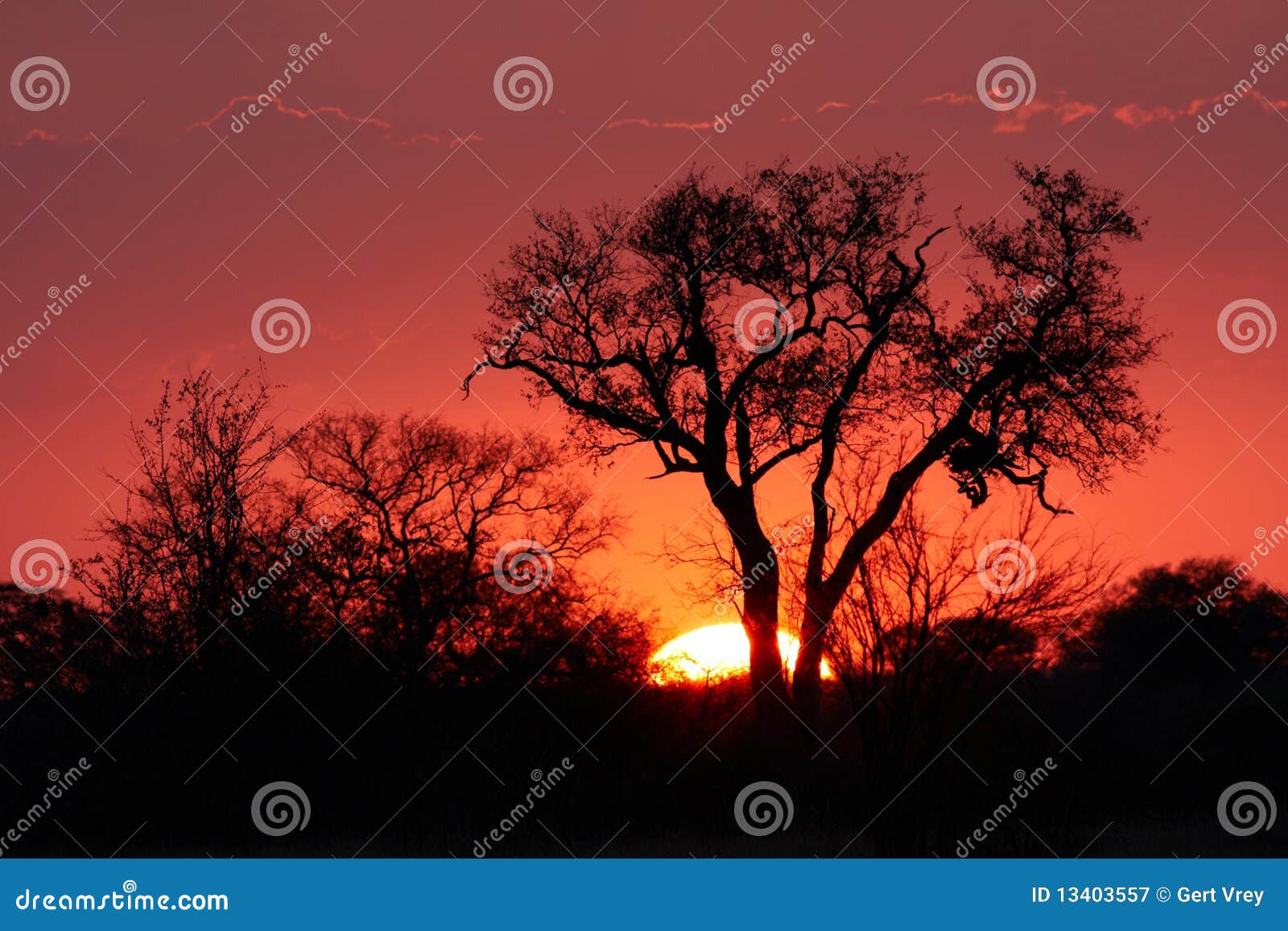 Red sunset stock image. Image of tree, travel, holiday - 13403557