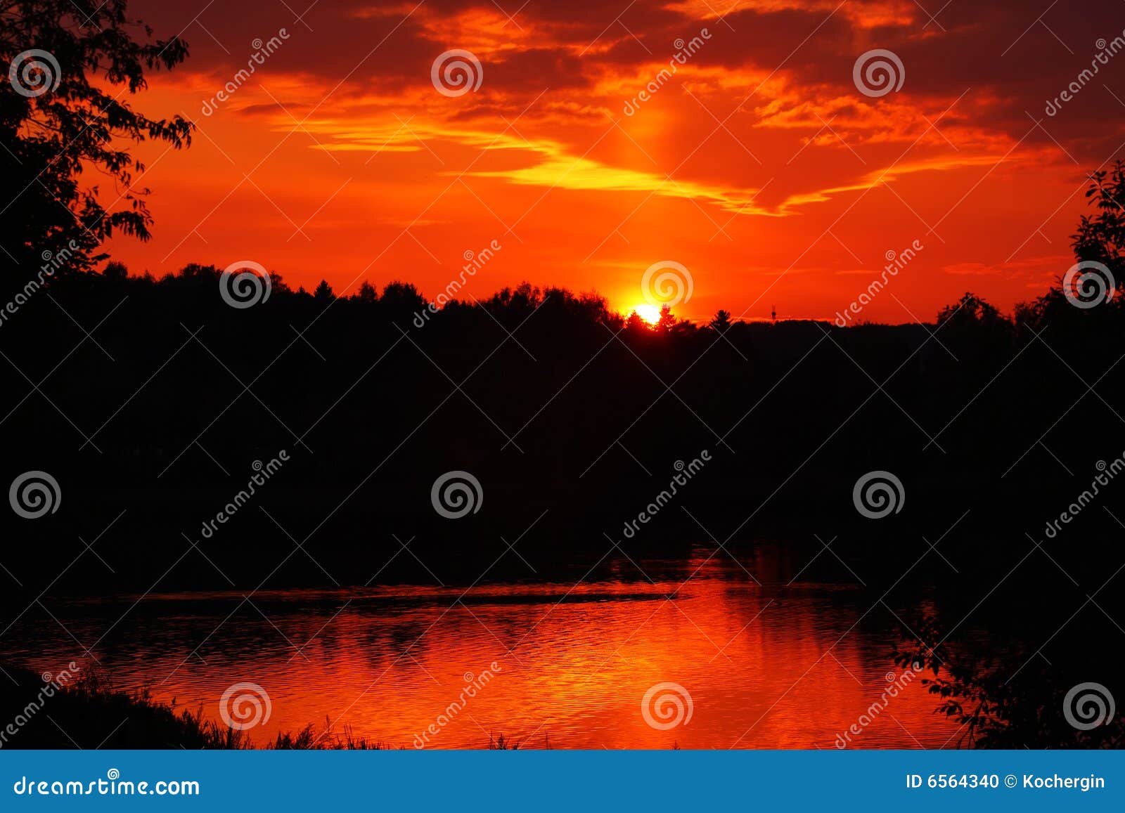 Red sunset stock photo. Image of branch, forest, natural - 6564340