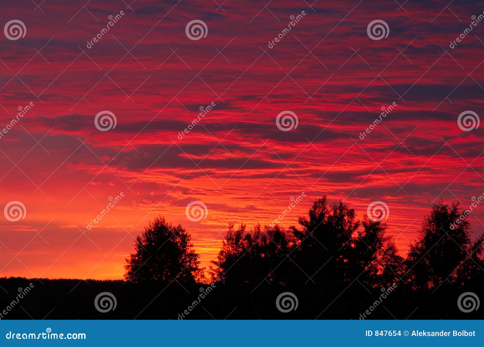 Red sunset stock photo. Image of tree, sundown, rural, weather - 847654