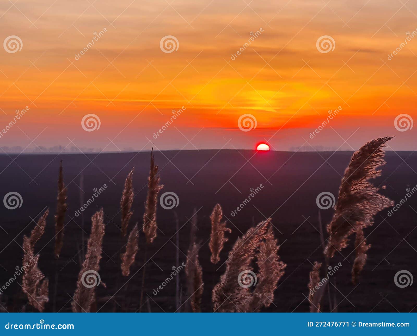 Red Sunset Behind the Field Stock Image - Image of dawn, coast: 272476771