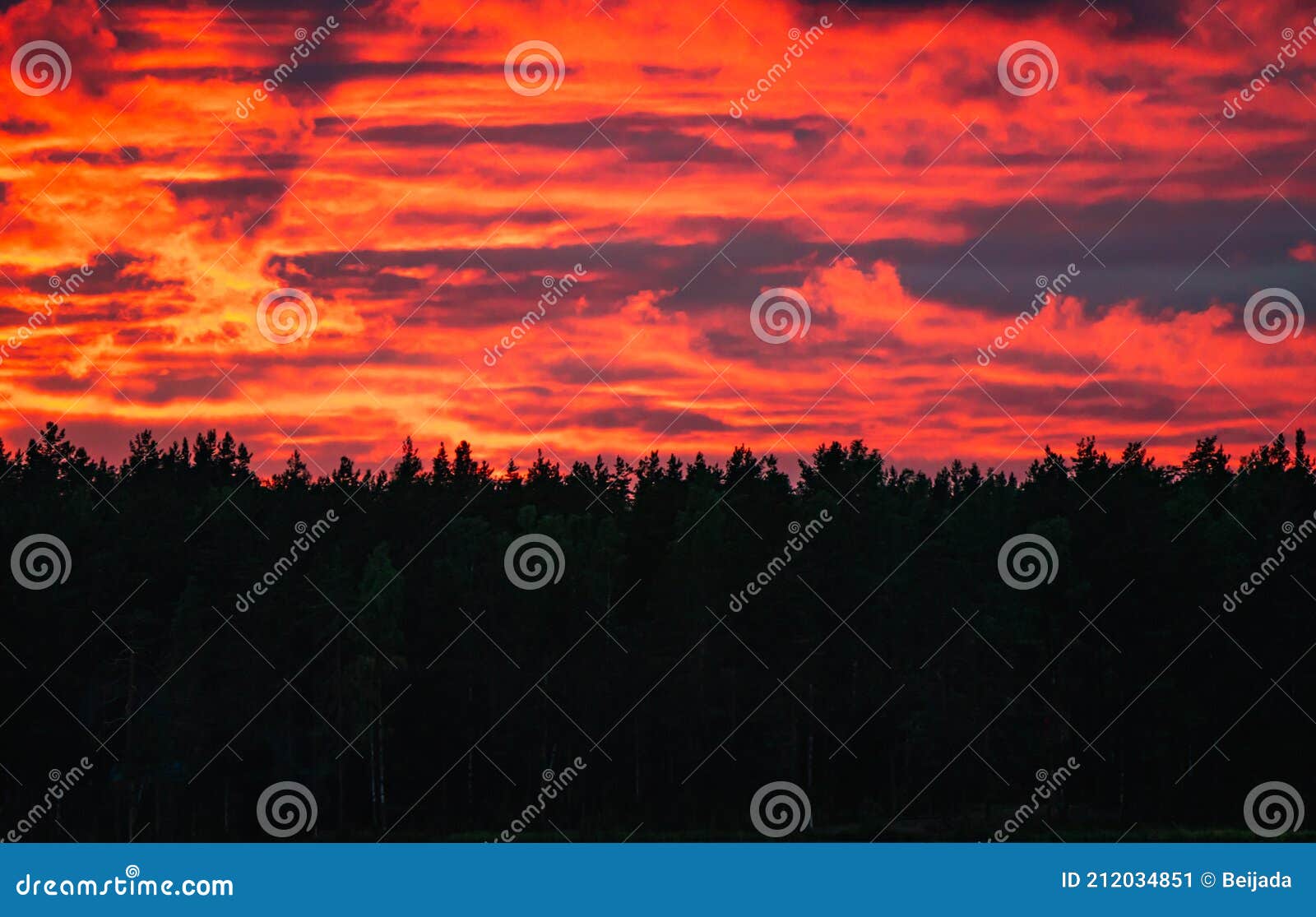 Red Sunset with Clouds Over Dark Forest Stock Image - Image of river ...