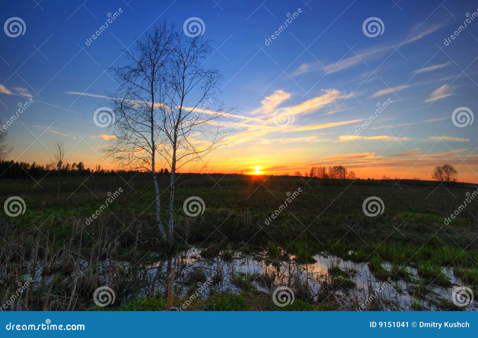 Red sunset in the field stock image. Image of environment - 9151041