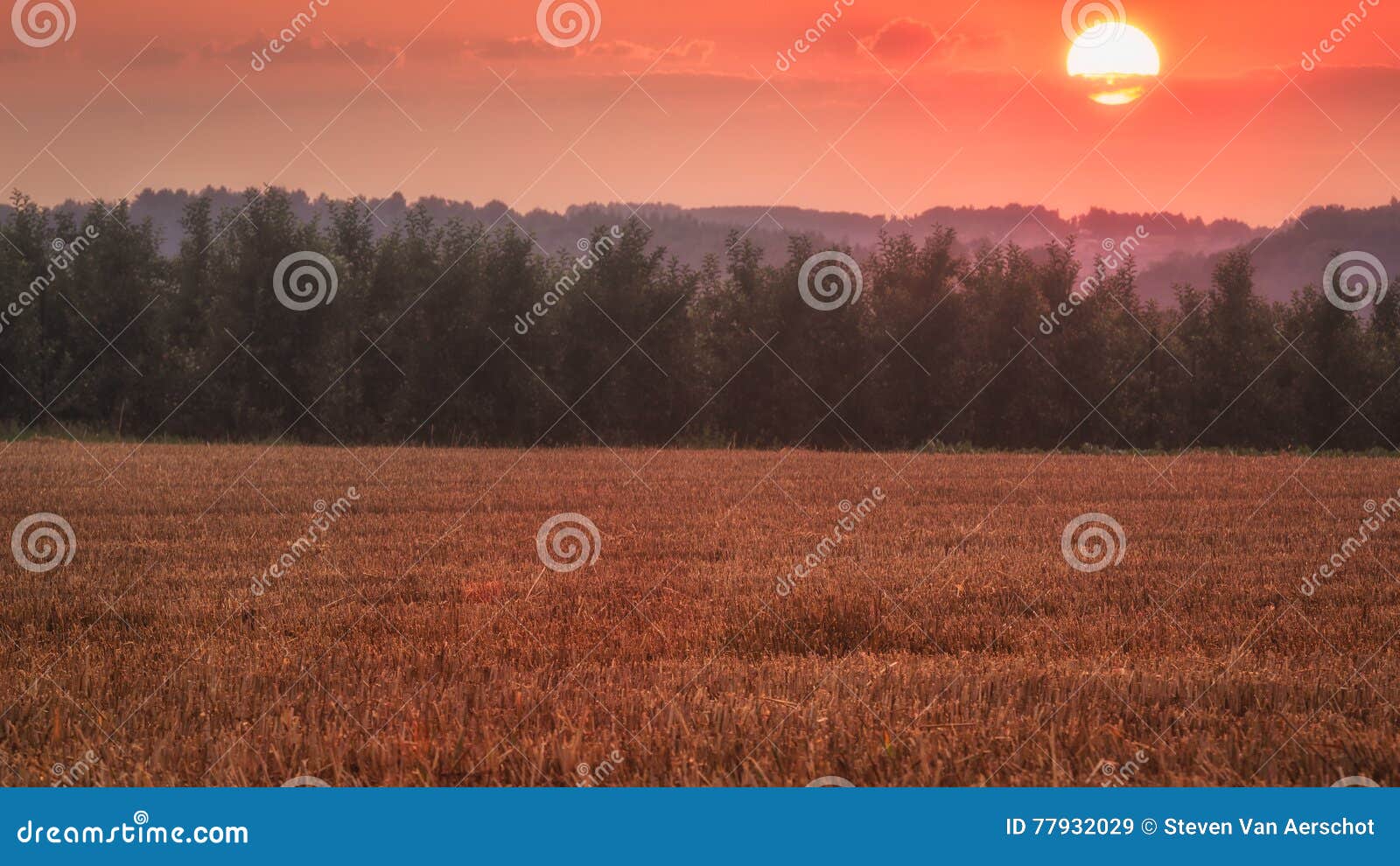 Red Sunset Over a Wheatfield Stock Image - Image of light, sunset: 77932029