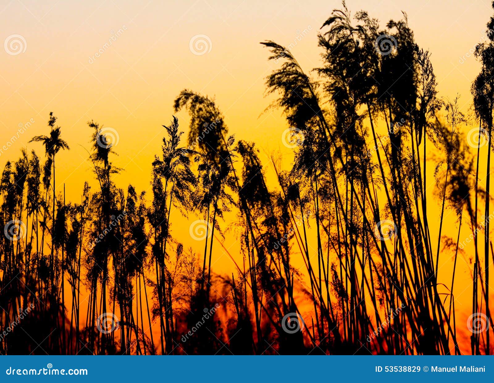 Red sunset stock image. Image of natural, background - 53538829