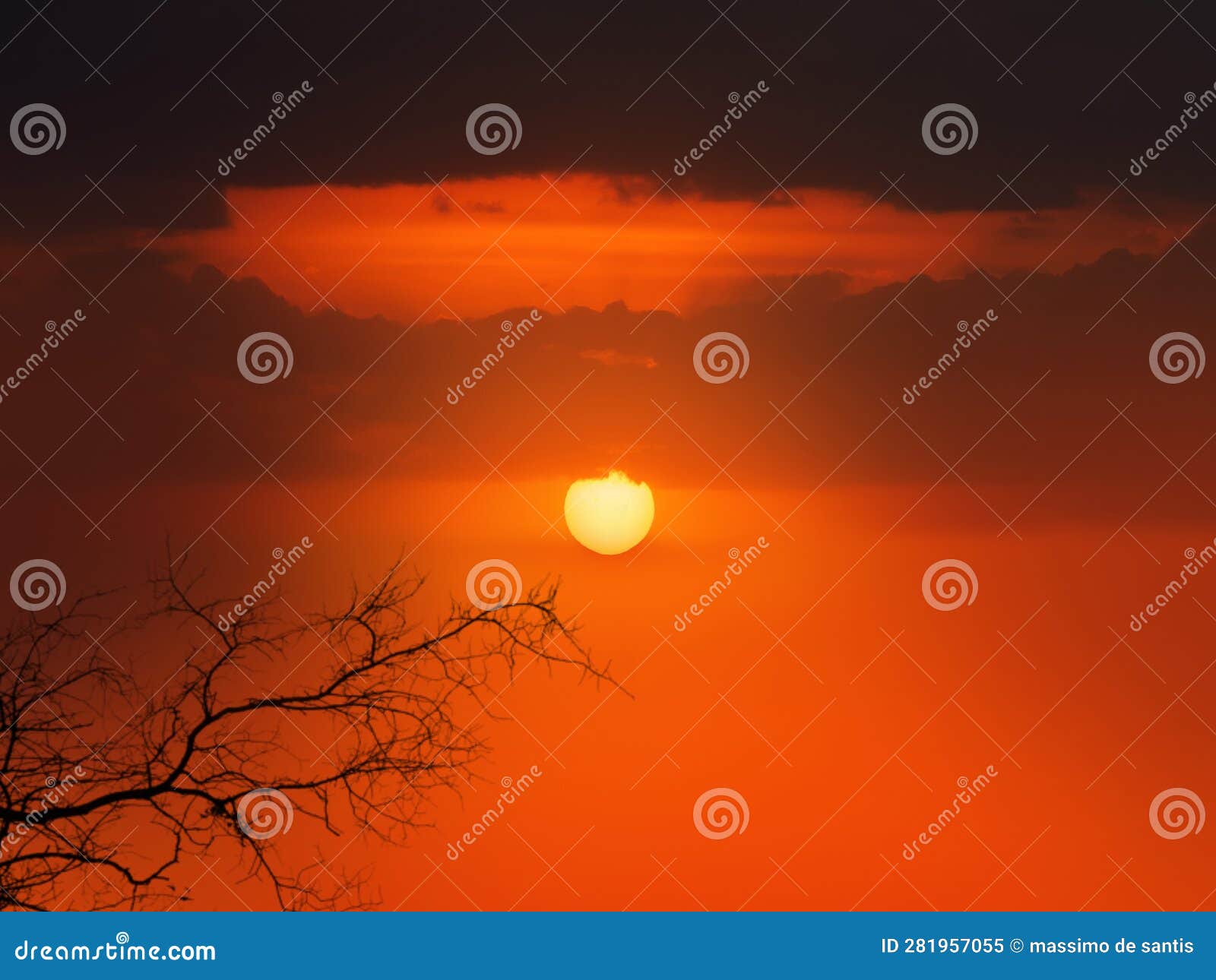 Red sunset with tree stock illustration. Illustration of landscape ...