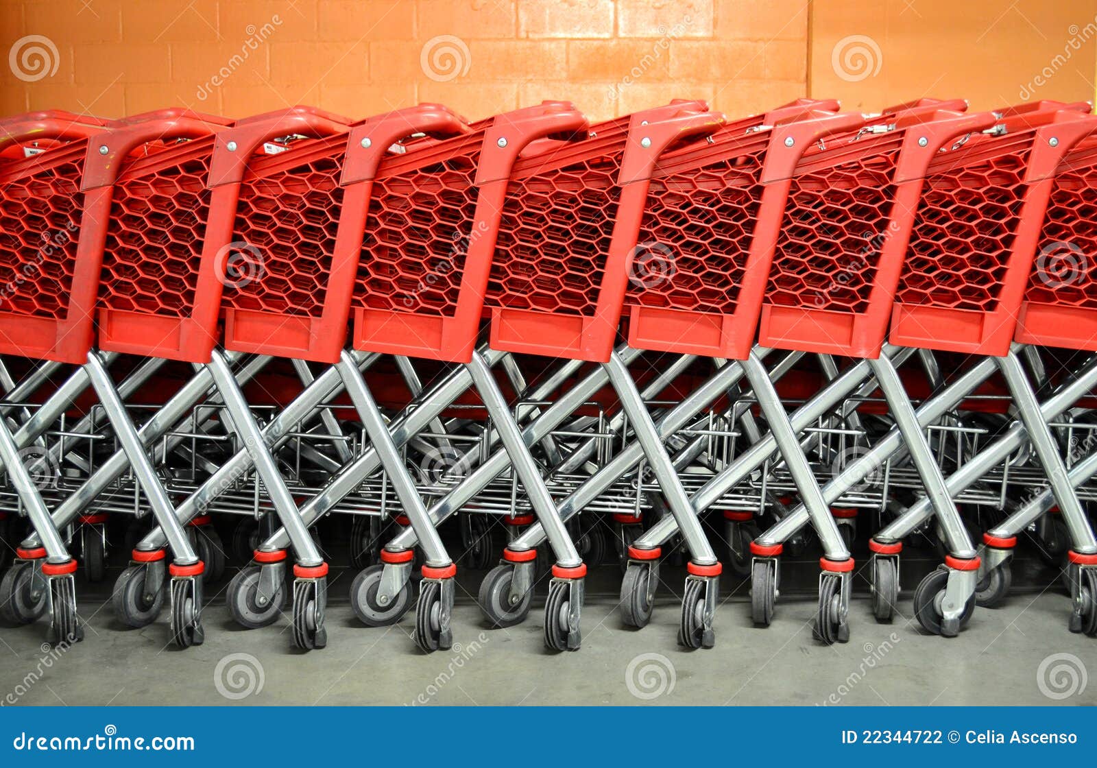 Red Supermarket Trolleys stock photo. Image of food, hypermarket - 22344722