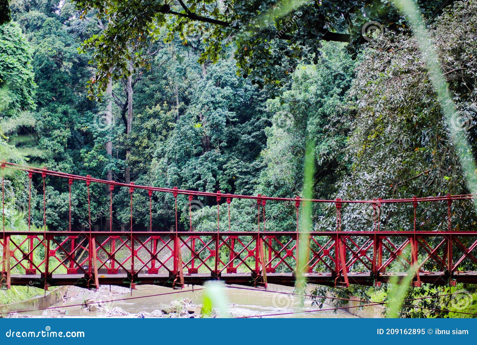Red Suspension Bridge in Botanical Garden Stock Image - Image of ...