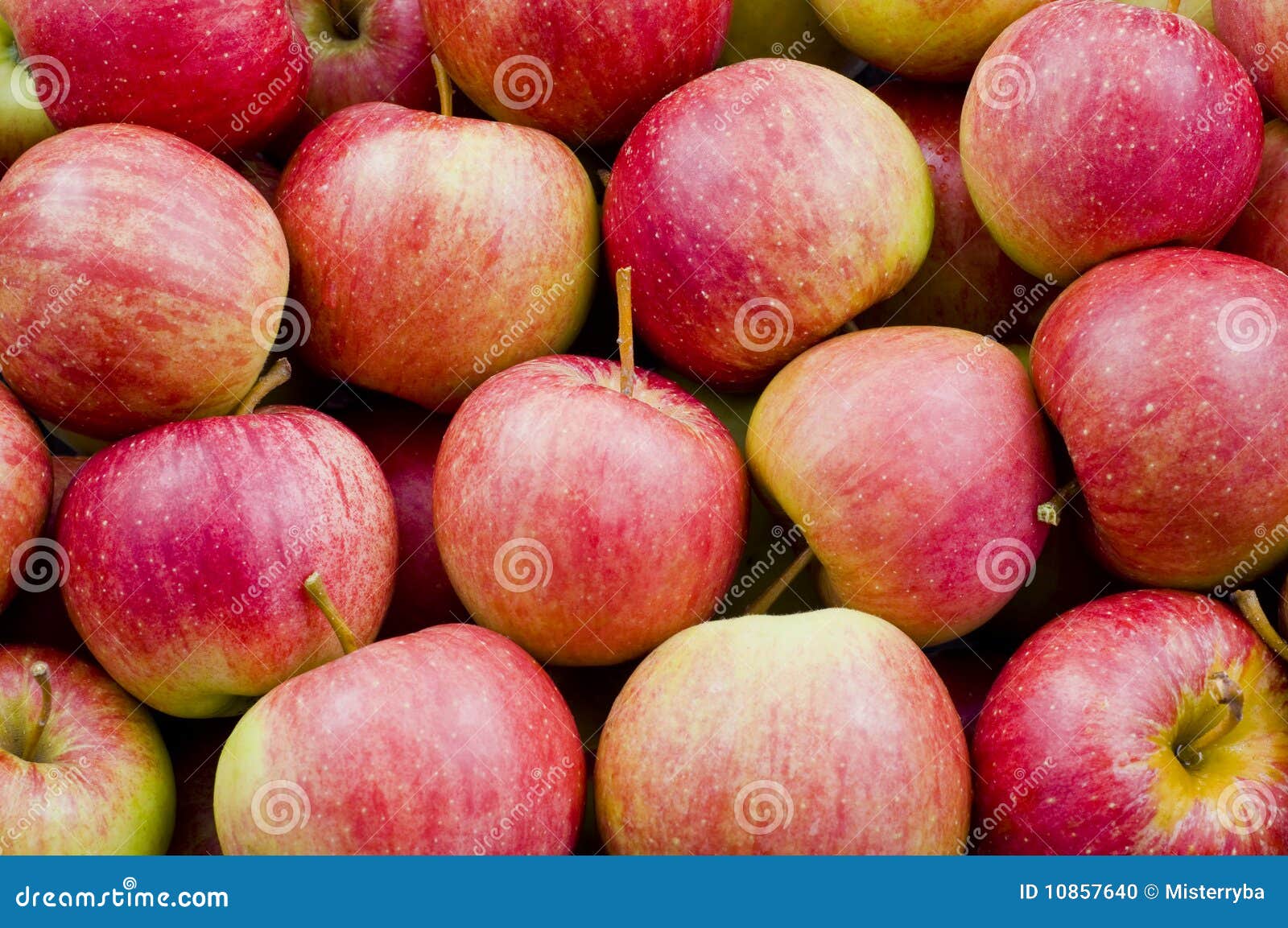 Red and Sweet Apples stock photo. Image of fruits, diet - 10857640