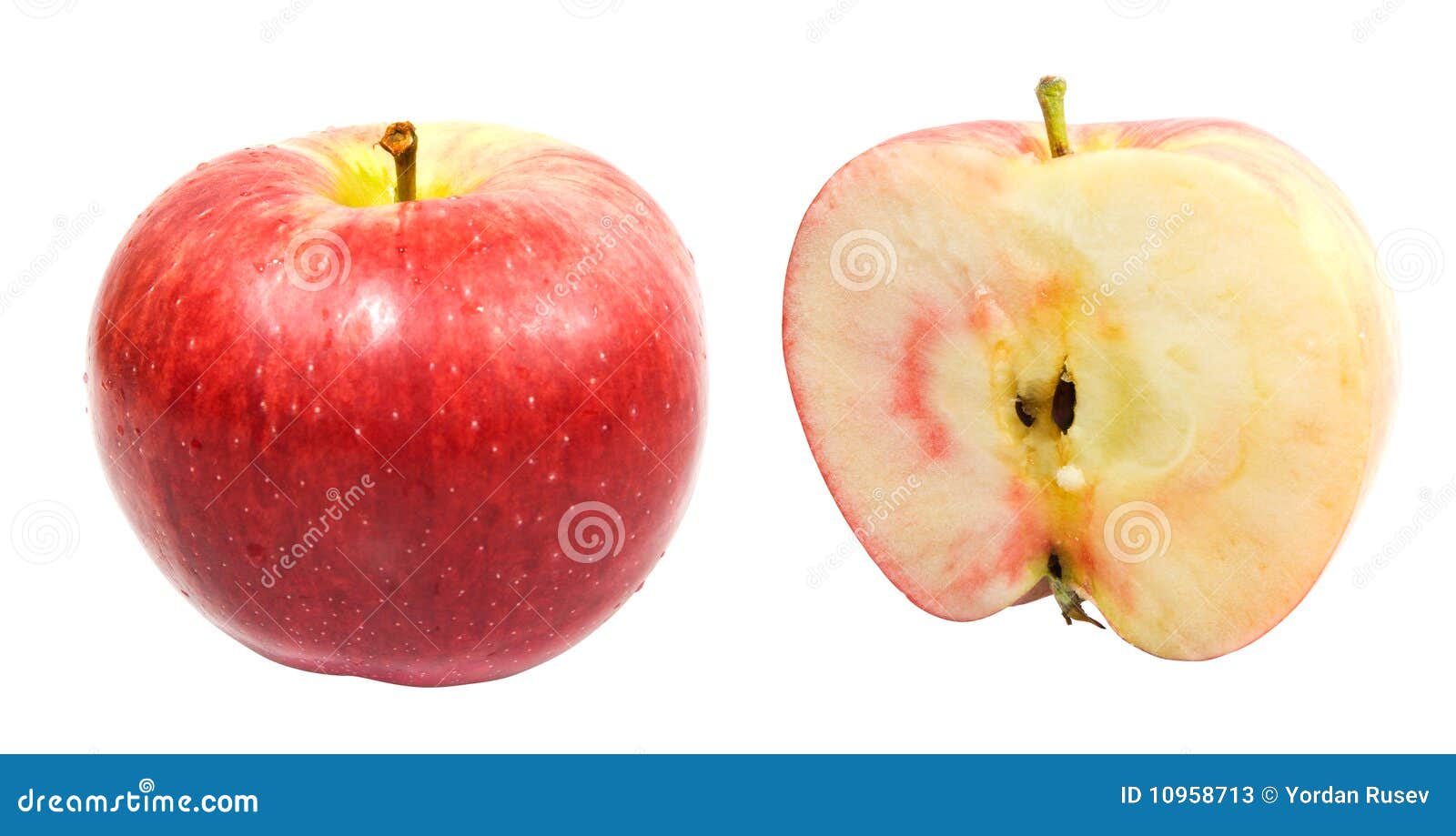 Red sweet apples stock image. Image of ecosystem, close - 10958713