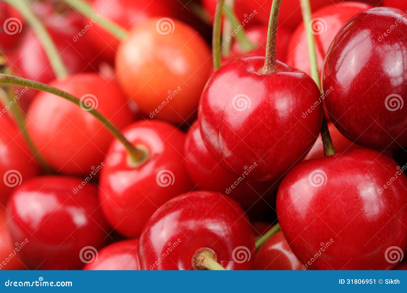 Red Sweet Cherries stock image. Image of harvest, fresh - 31806951