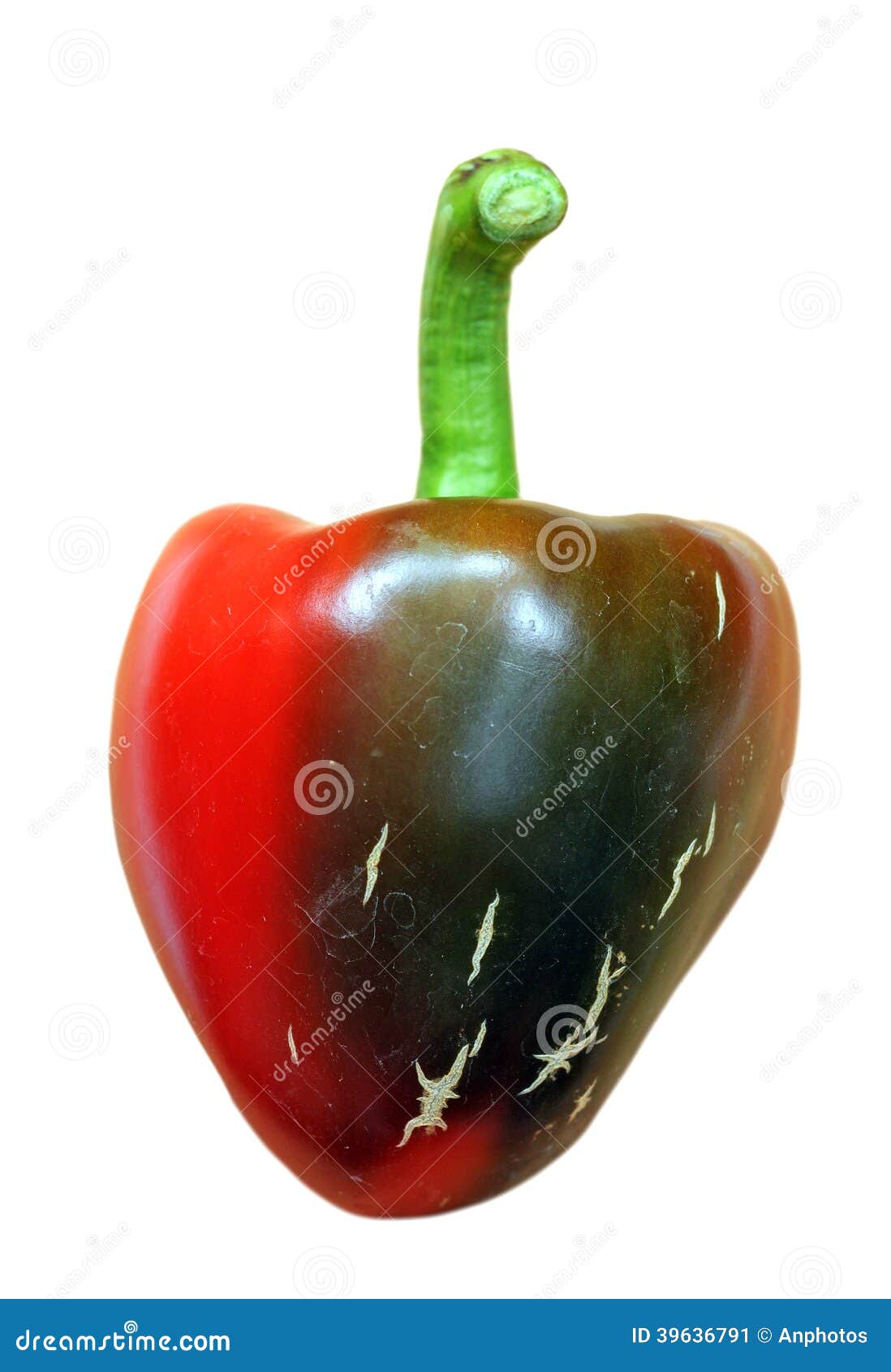 Red sweet pepper stock image. Image of bell, food, freshness - 39636791
