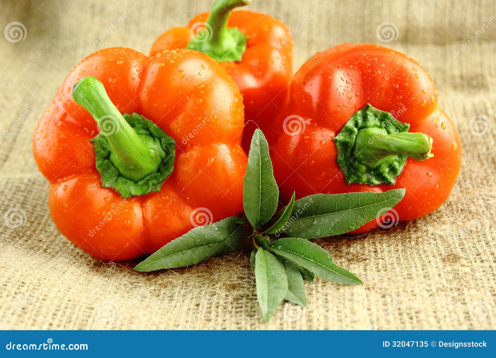 Red sweet pepper stock image. Image of diet, bell, bellpepper - 32047135