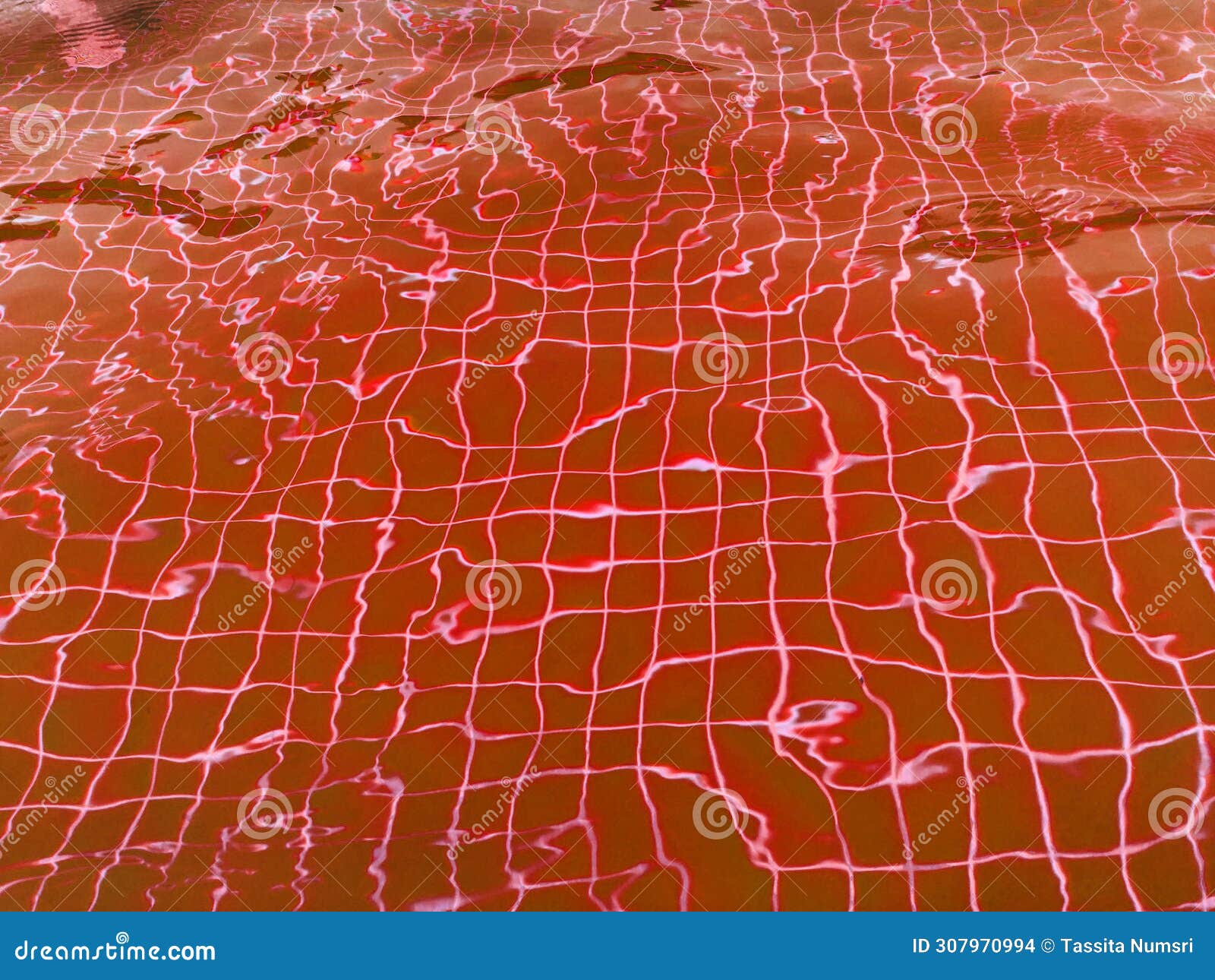 Red Swimming Pool Water with Tiles and Palm Tree Shadow Stock Photo ...