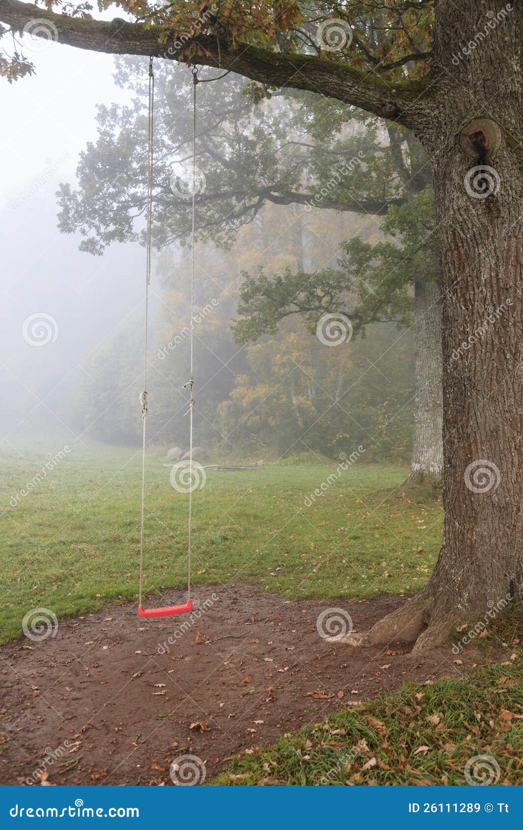 Red swing stock image. Image of garden, mist, nature - 26111289
