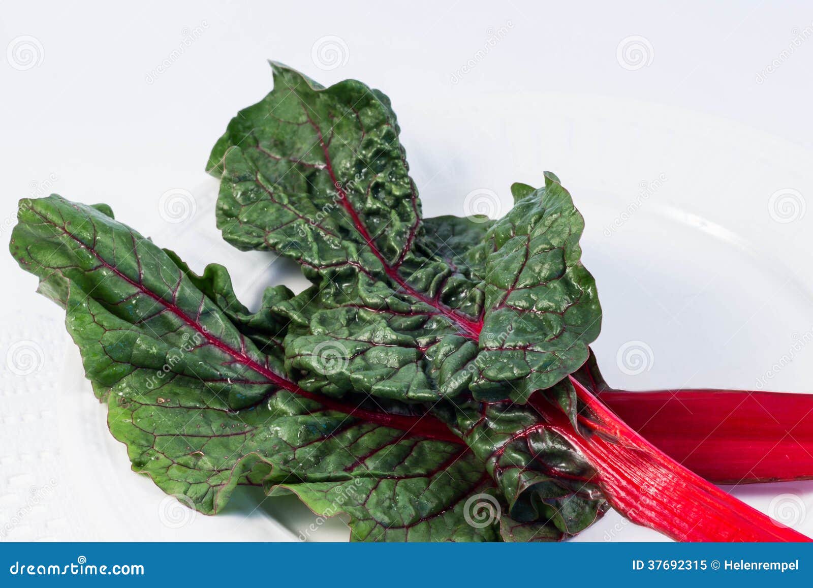 Red swiss chard stock image. Image of plant, leaf, vulgaris - 37692315