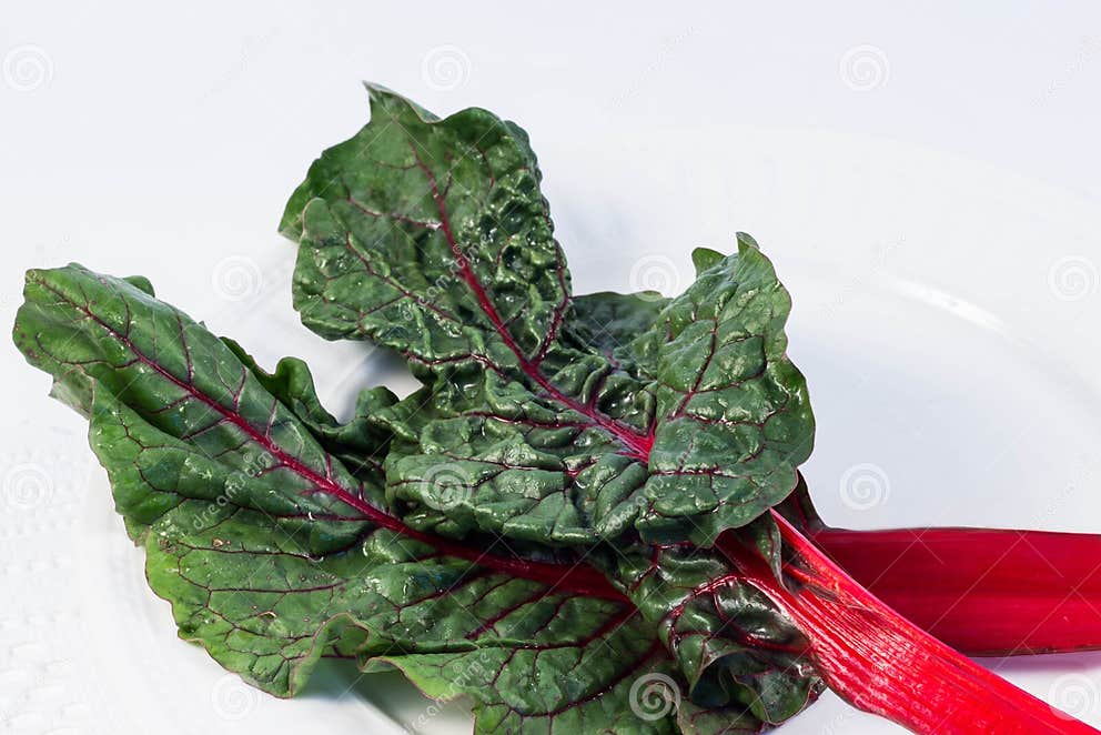 Red swiss chard stock image. Image of plant, leaf, vulgaris - 37692315