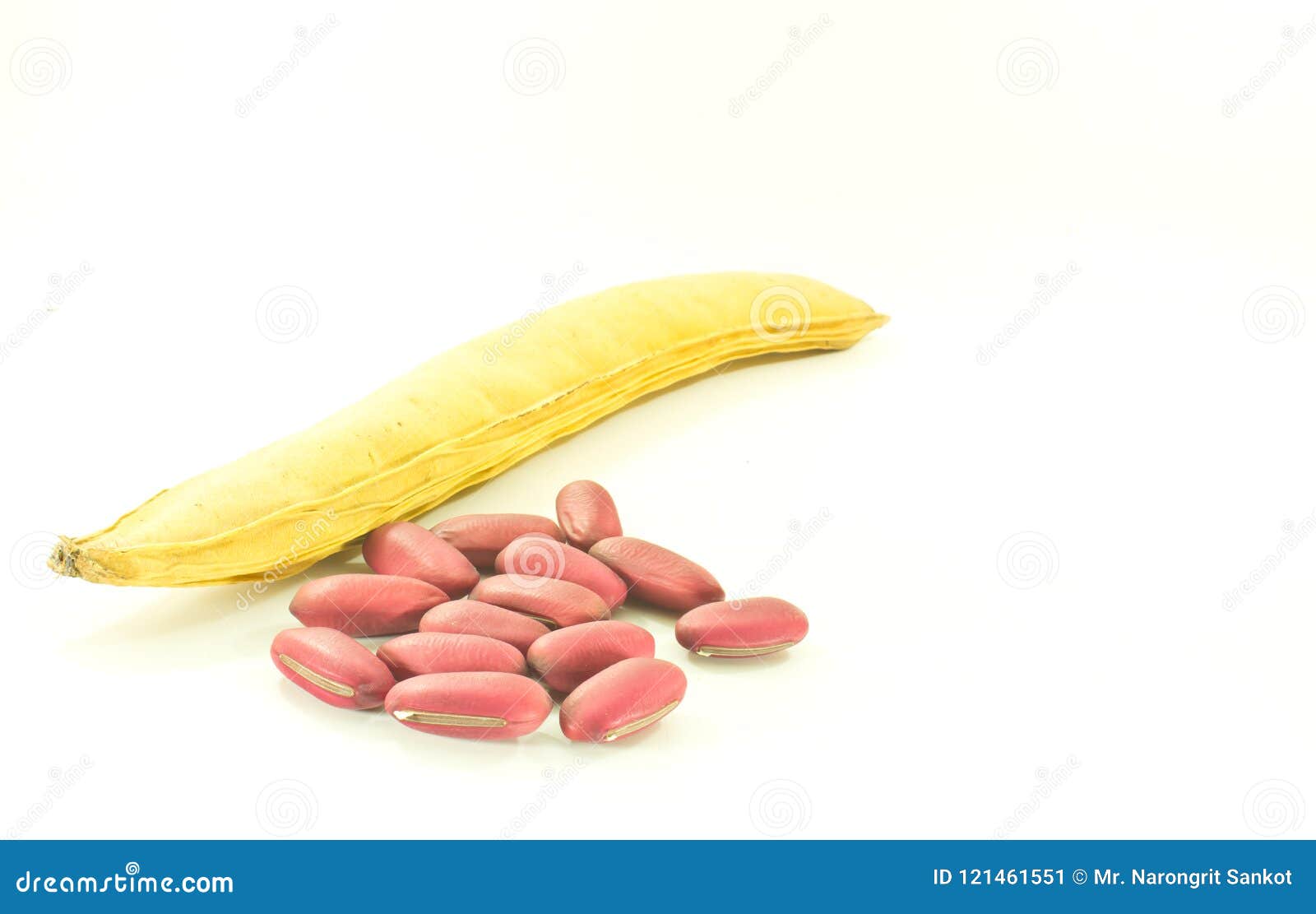 Sword Bean (Canavalia Gladiata) Stock Image | CartoonDealer.com #25425793