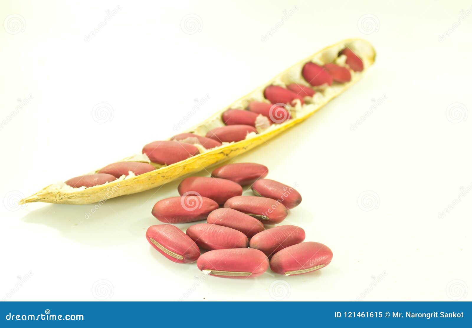 Sword Bean (Canavalia Gladiata) Stock Image | CartoonDealer.com #25425793