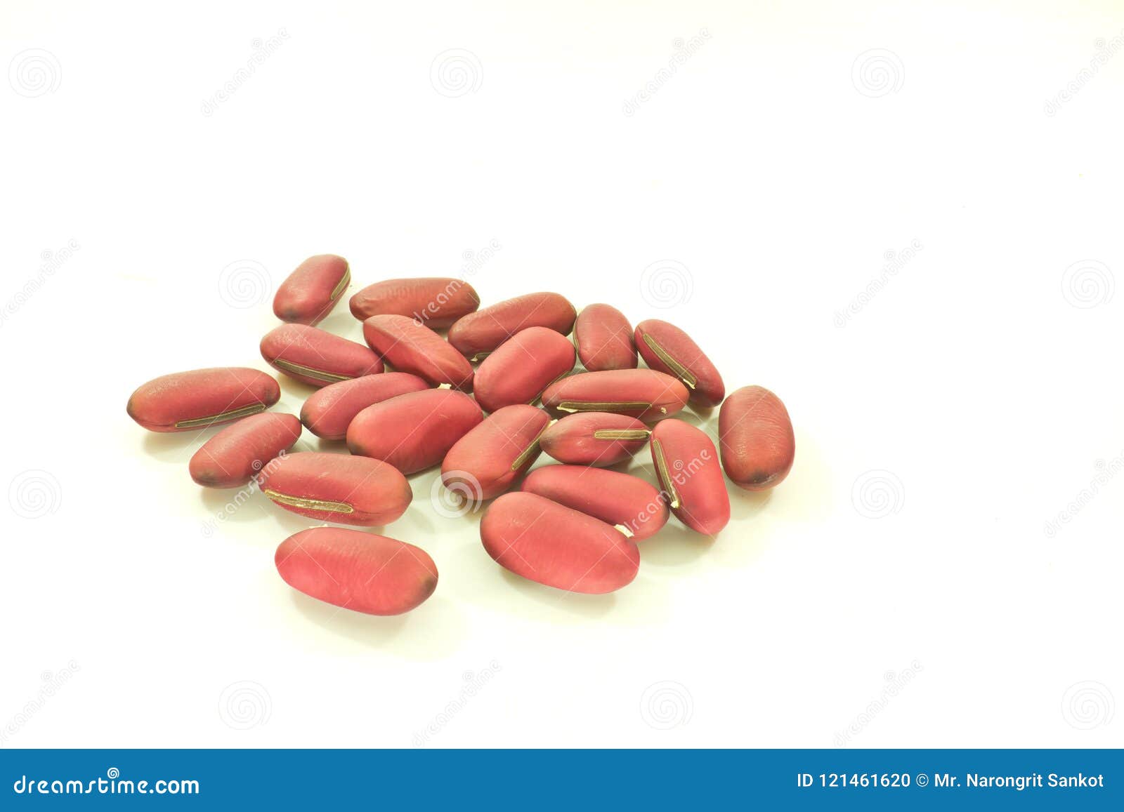 Sword Bean (Canavalia Gladiata) Stock Image | CartoonDealer.com #25425793
