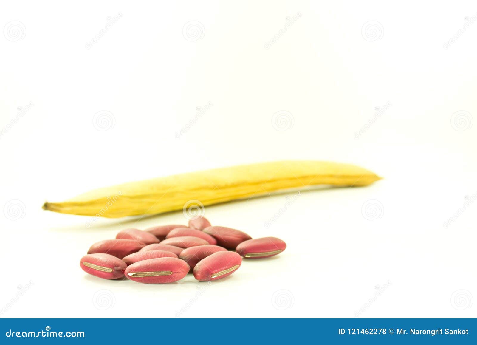 Sword Bean (Canavalia Gladiata) Stock Image | CartoonDealer.com #25425793