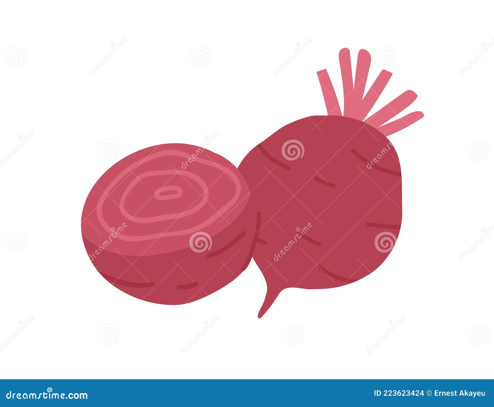 Sugar Beet Plant Logo Design. Sugarbeet Root Vector Design ...