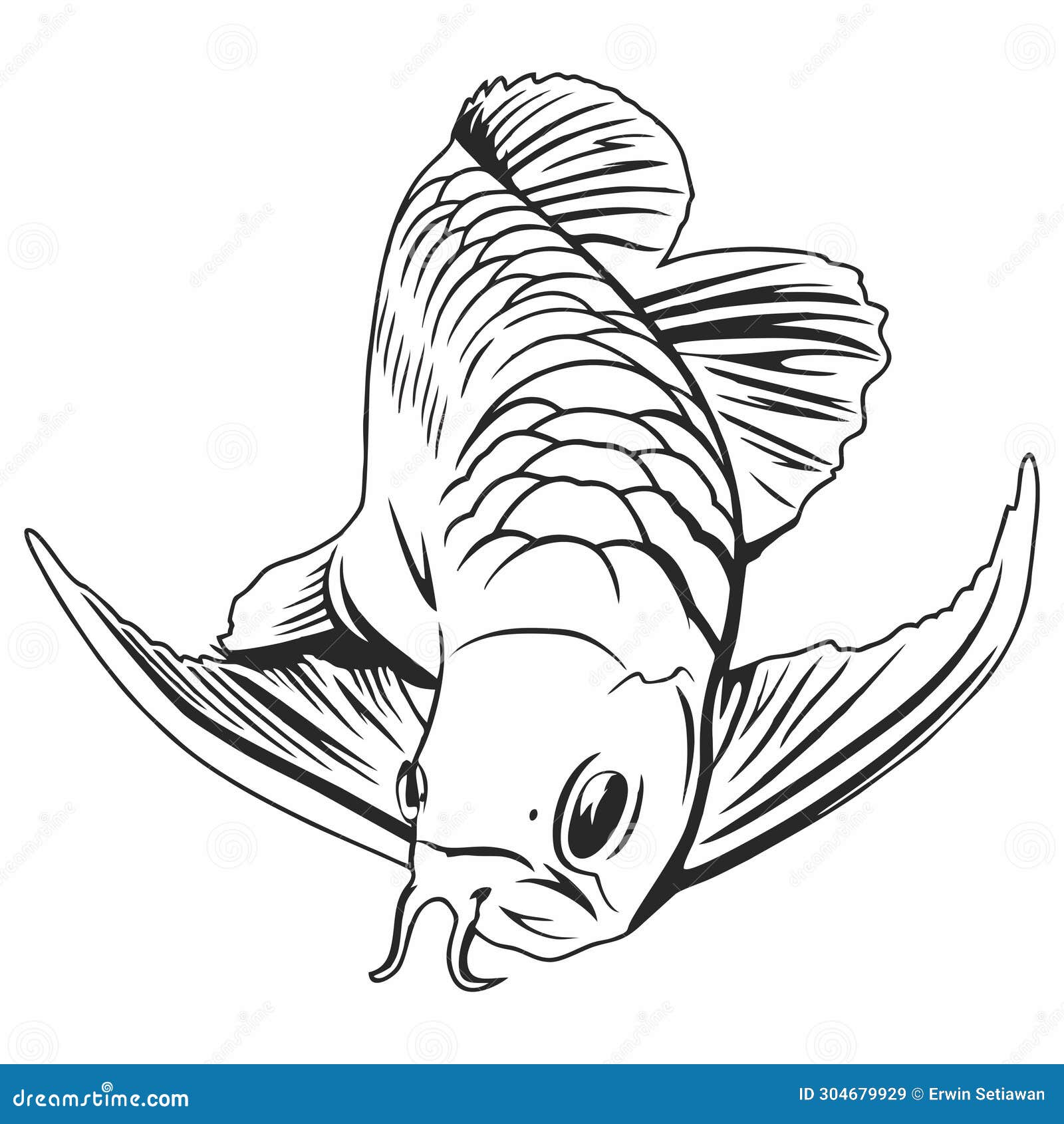 The Tailed Arowana Black and White Line Art Vector Stock Illustration ...