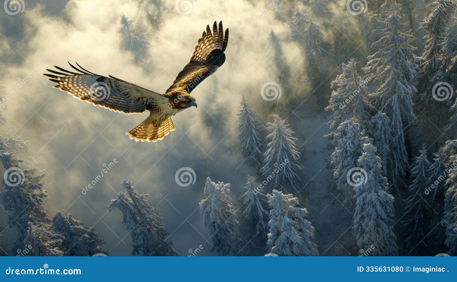 Red-tailed Hawk Soaring Above Snowy Forest Stock Illustration ...