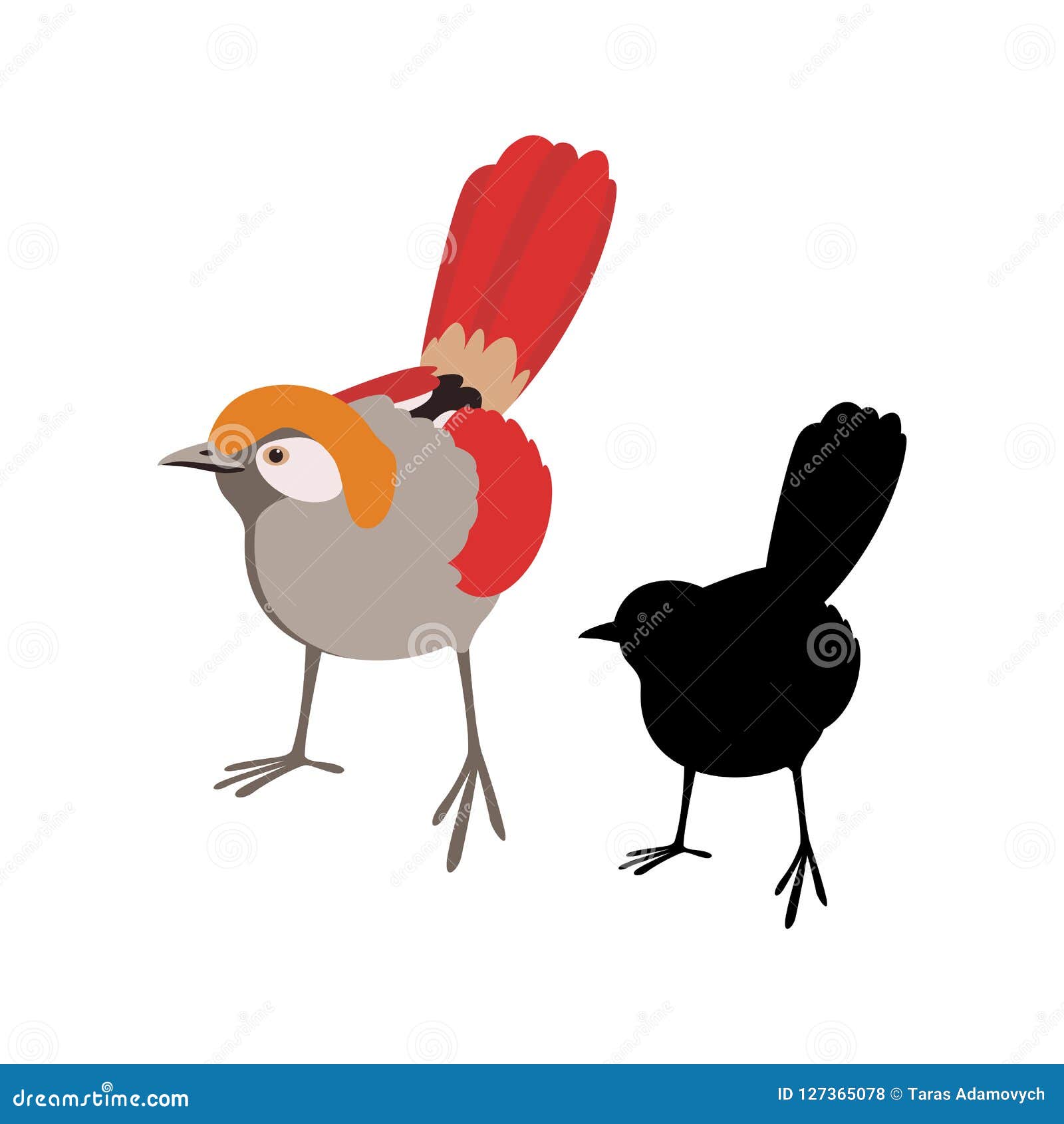 Red Tailed Thrush Vector Illustration Flat Style Stock Vector ...