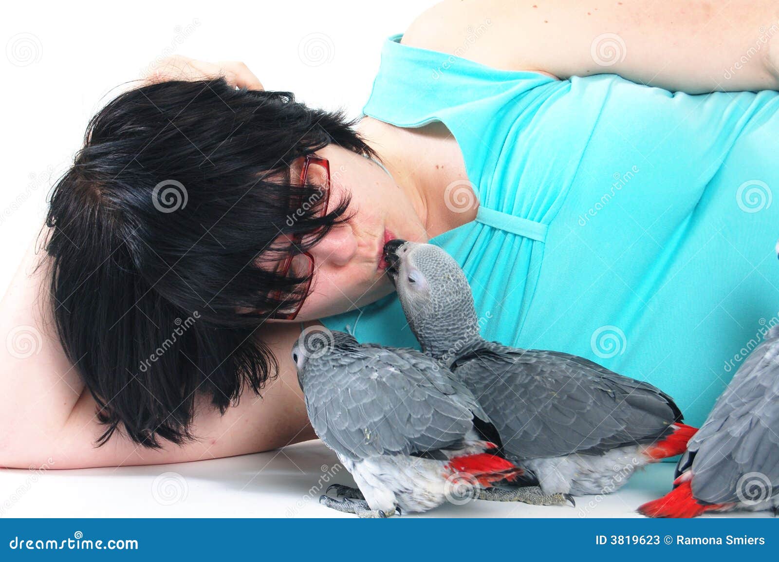 Red Tale Parrot on White Kissing with Female Stock Image - Image of ...