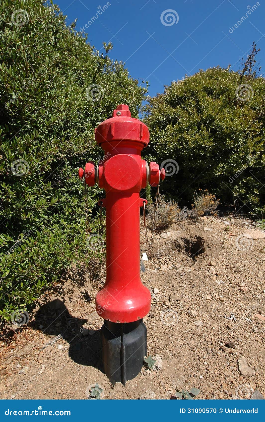 Red tap stock photo. Image of handle, hose, water, steel - 31090570