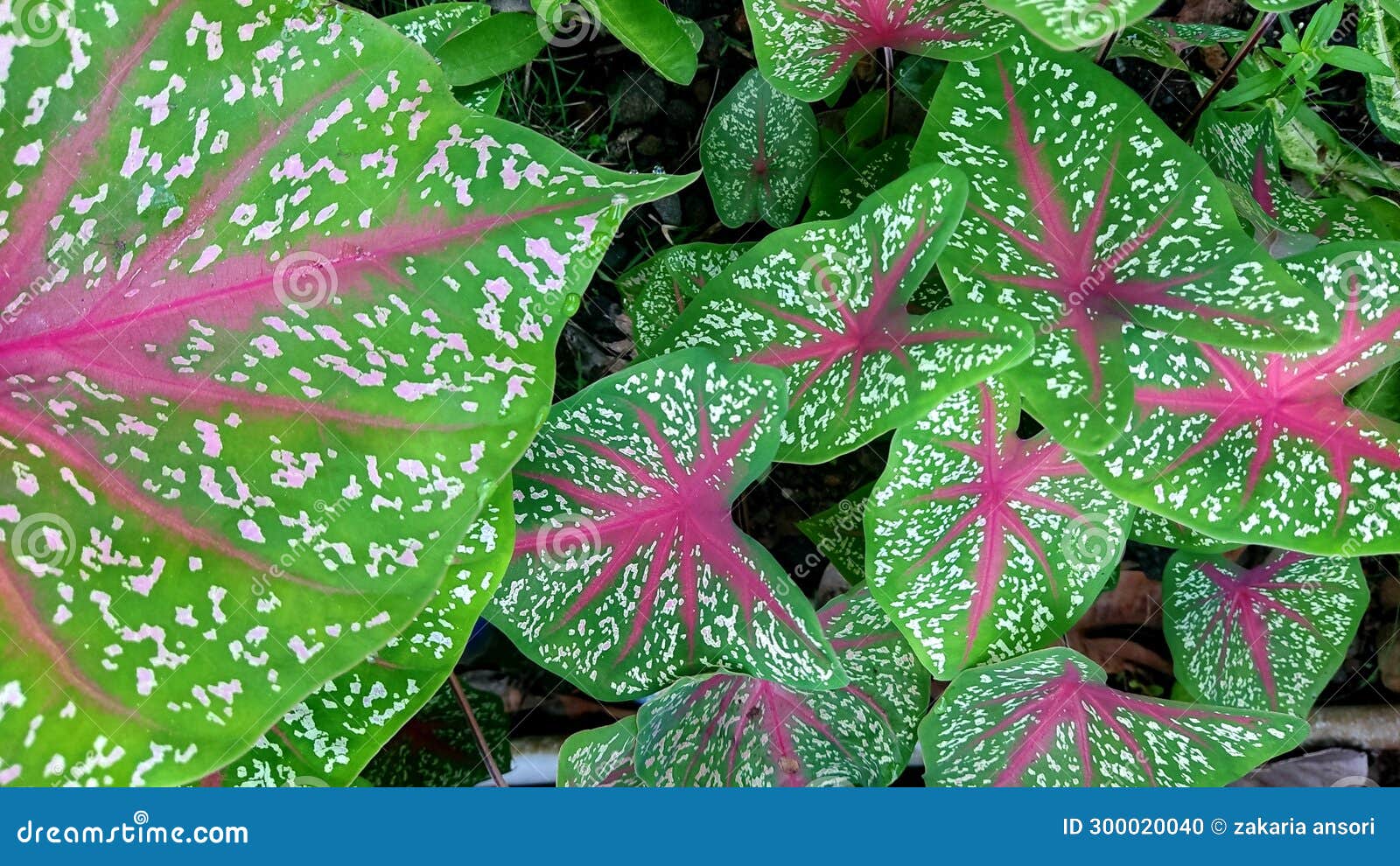 Unique White Brick Or Hebel Wall Texture Stock Image | CartoonDealer ...