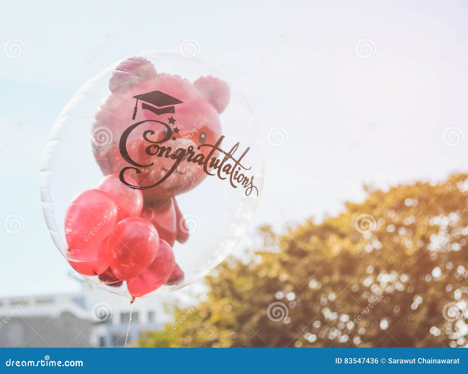 Red Teddy Bear in Transparent Balloon with Congratulation Text for ...