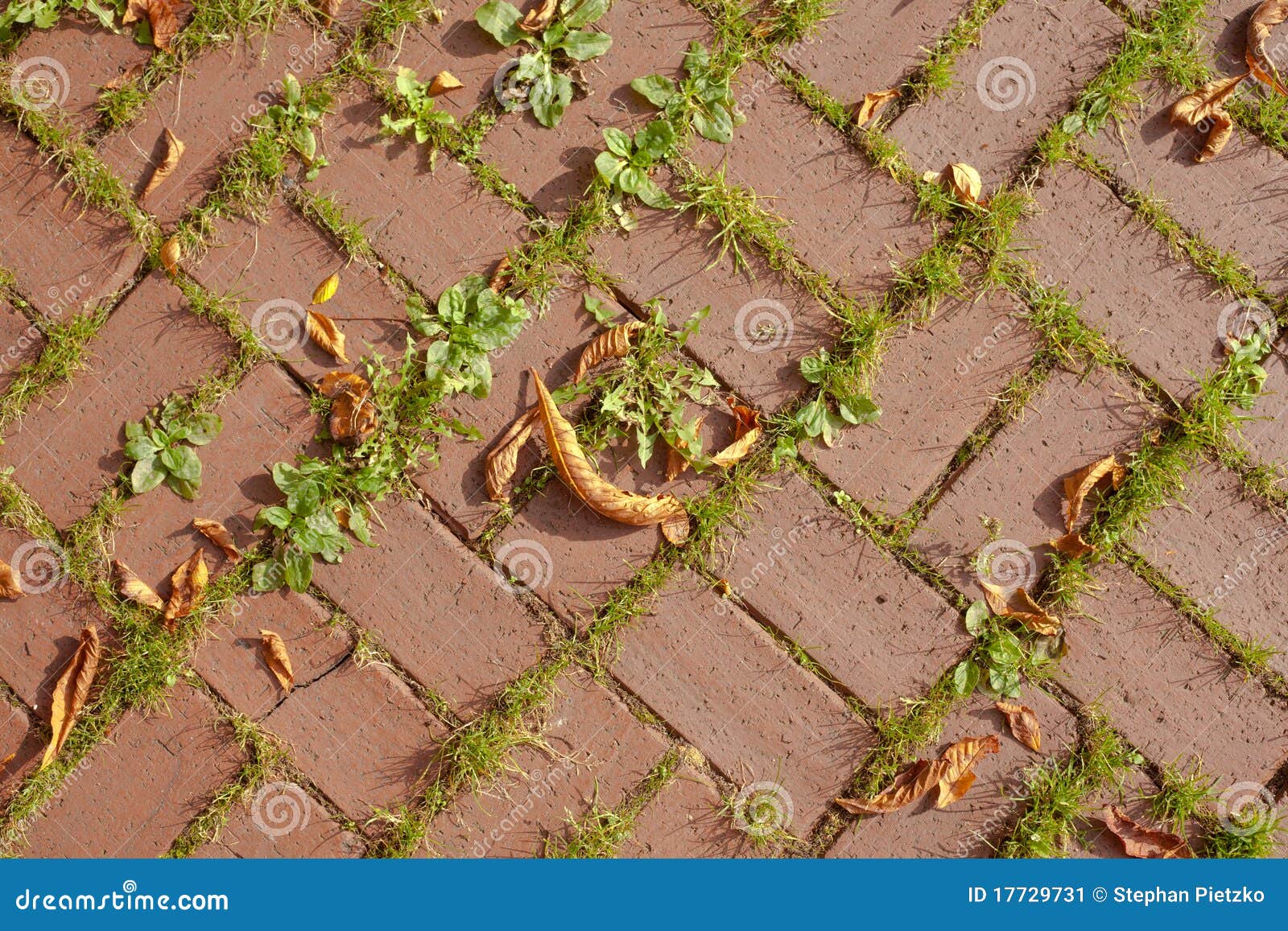 Red Terra Cotta Brick Pattern Stock Image - Image of green, pavement ...
