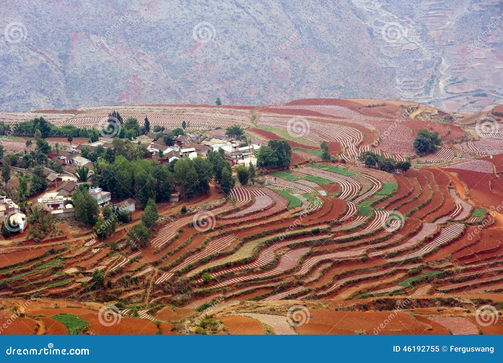 The Red Terrace of Yunnan, China Stock Image - Image of ancient ...