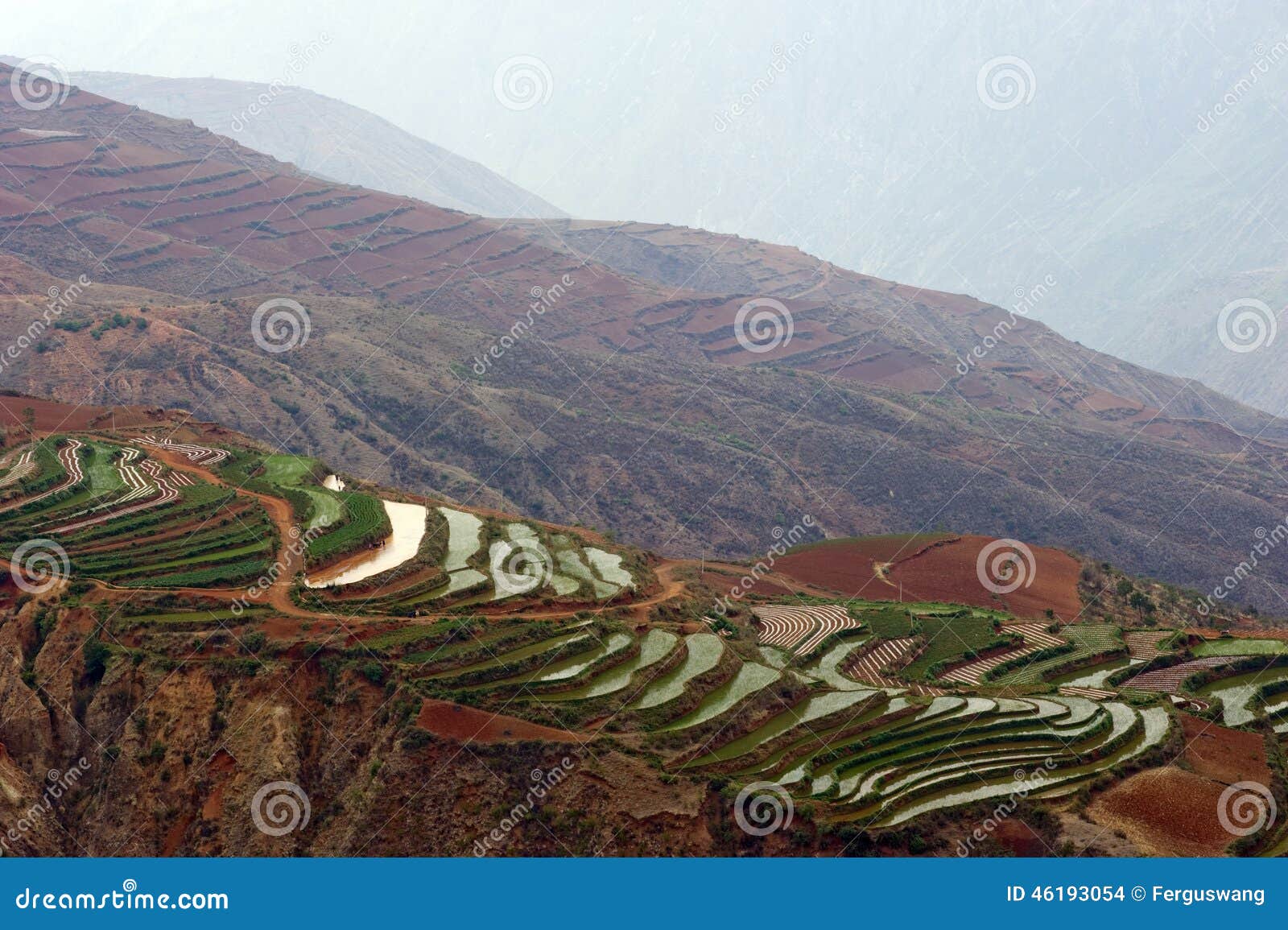 The Red Terrace of Yunnan, China Stock Photo - Image of countryside ...