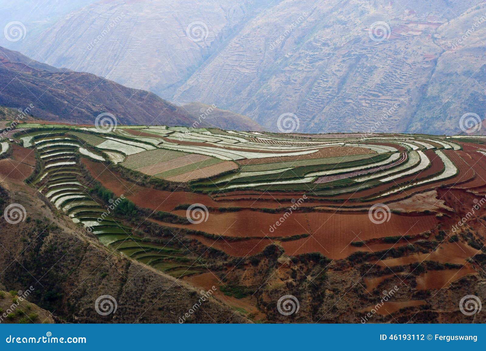 The Red Terrace of Yunnan, China Stock Photo - Image of asian, beauty ...