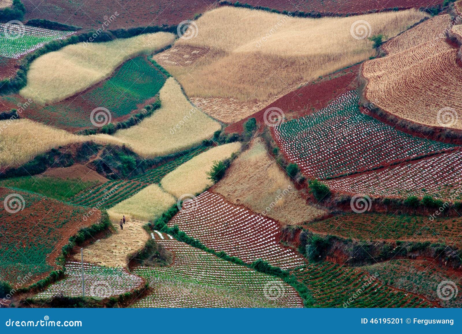 The Red Terrace of Yunnan, China Stock Image - Image of countryside ...