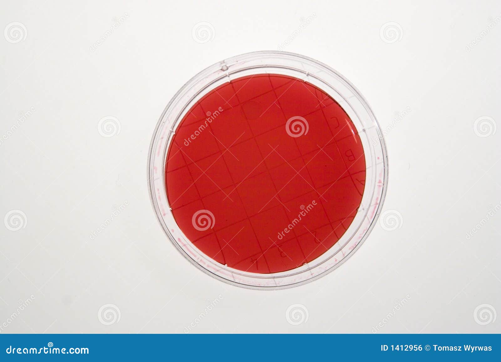 Red test samples3 stock photo. Image of chemical, infection - 1412956