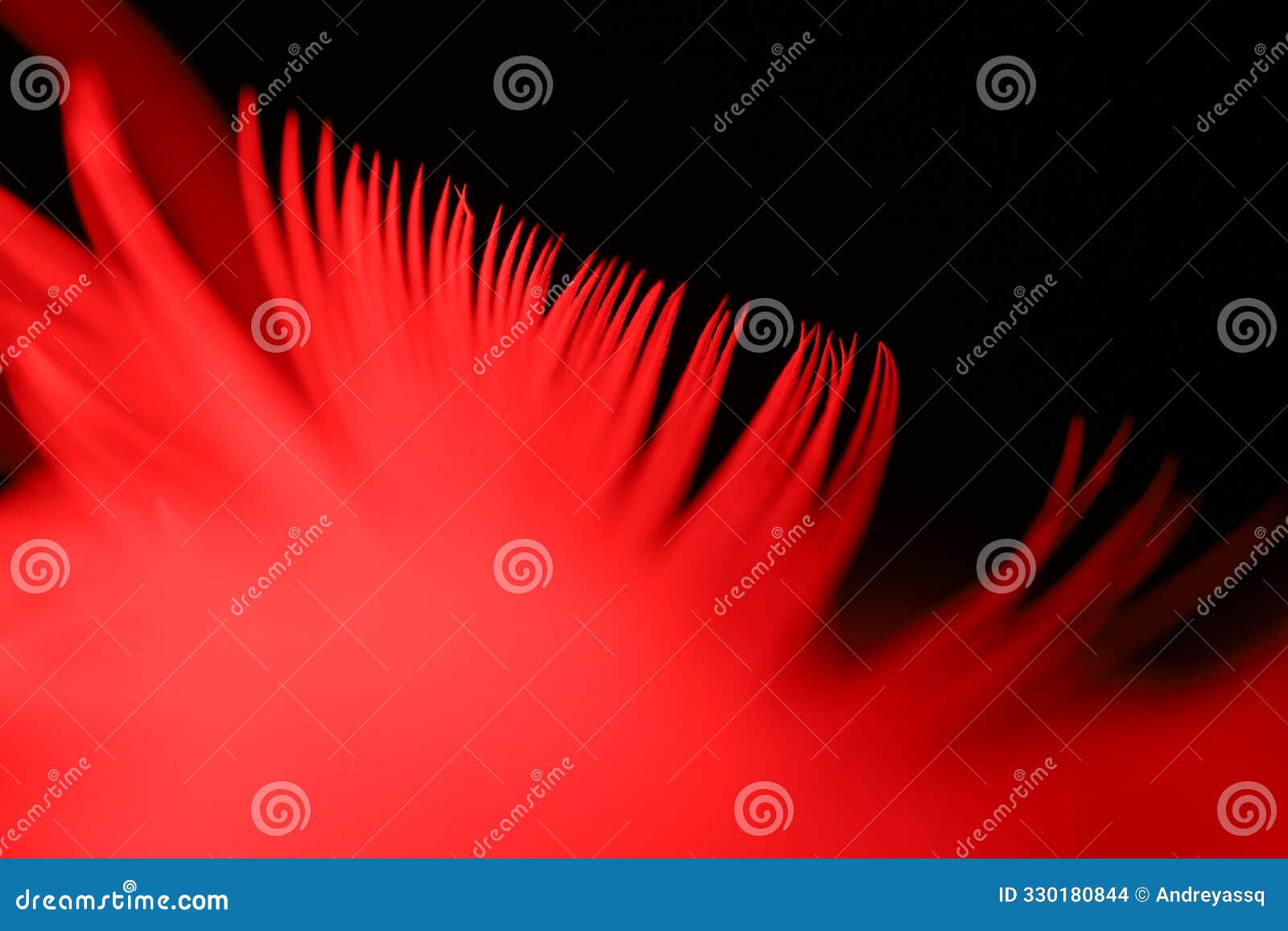 Red Texture Abstract on Black Background, Bird Feather Stock Photo ...