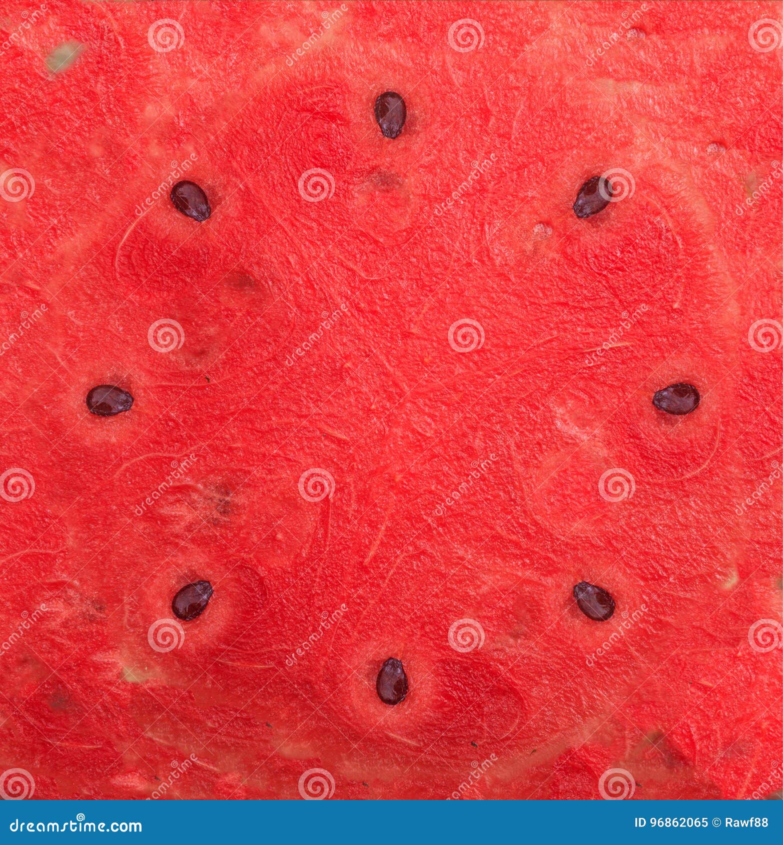Watermelon Inside Texture