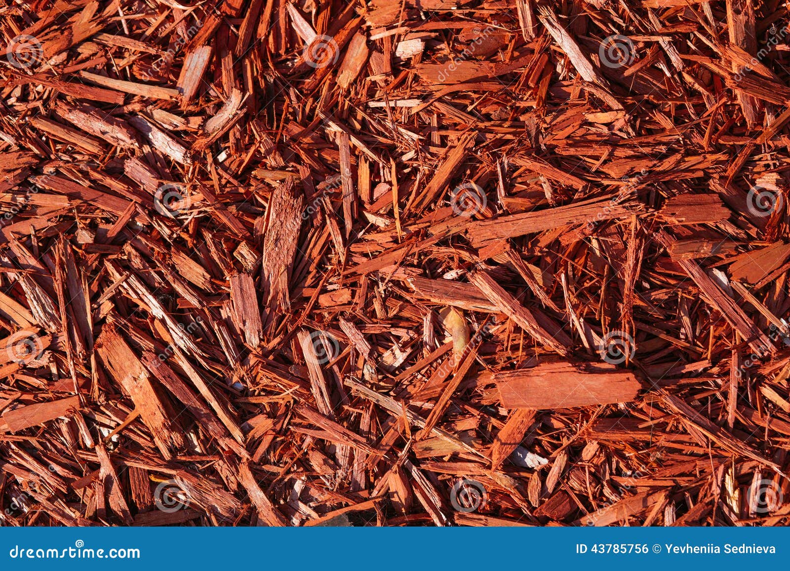 Red texture of wood chips stock photo. Image of natural - 43785756