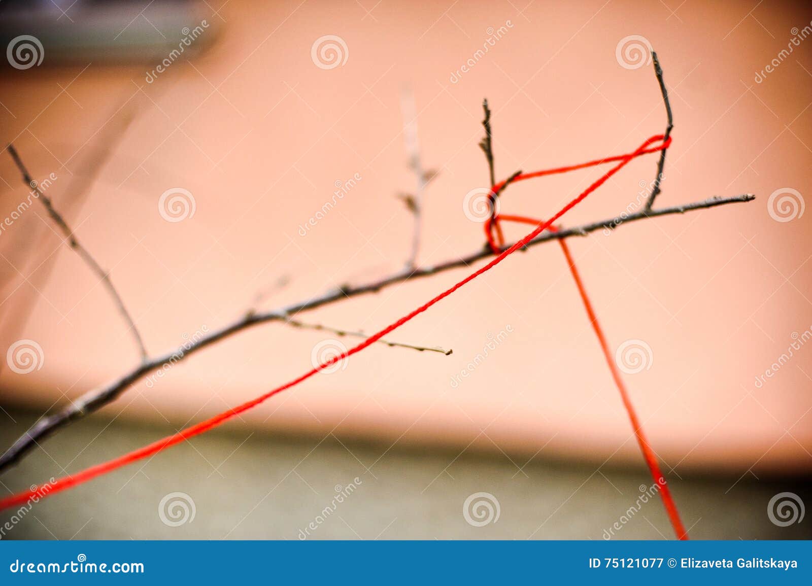 Red Thread is Pulled through a Tree Stock Image - Image of connect ...